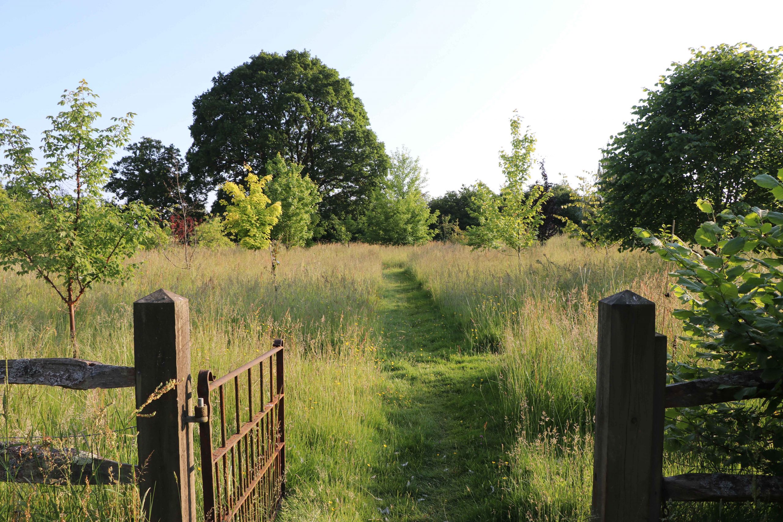 Goddards Green Garden Evening Visit | bidboroughgardening.co.uk